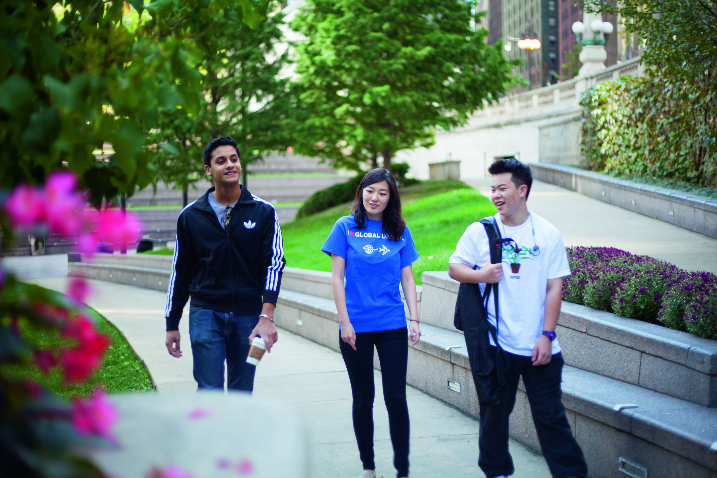 Agent Portal | Agents | Resources | International Admission | DePaul ...